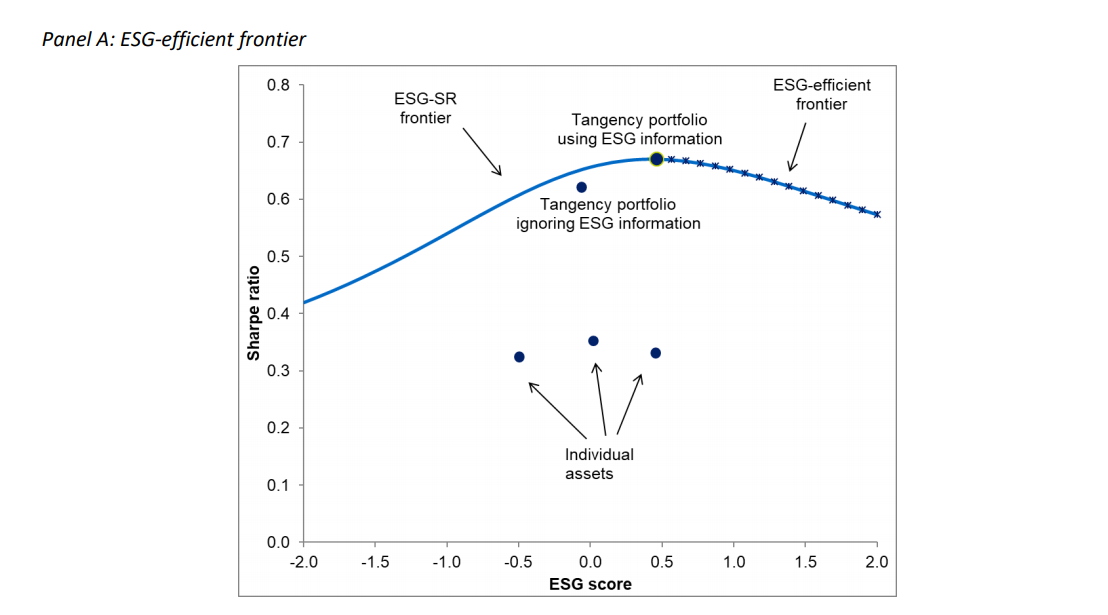 An Economic Framework for ESG Investing
